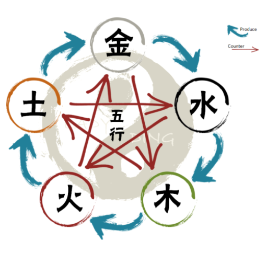 Special Bazi Structures: Follower Charts Explained
