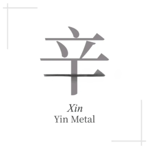 Yin Metal (Xin) Personality: Traits, Strengths & Career | BaZi